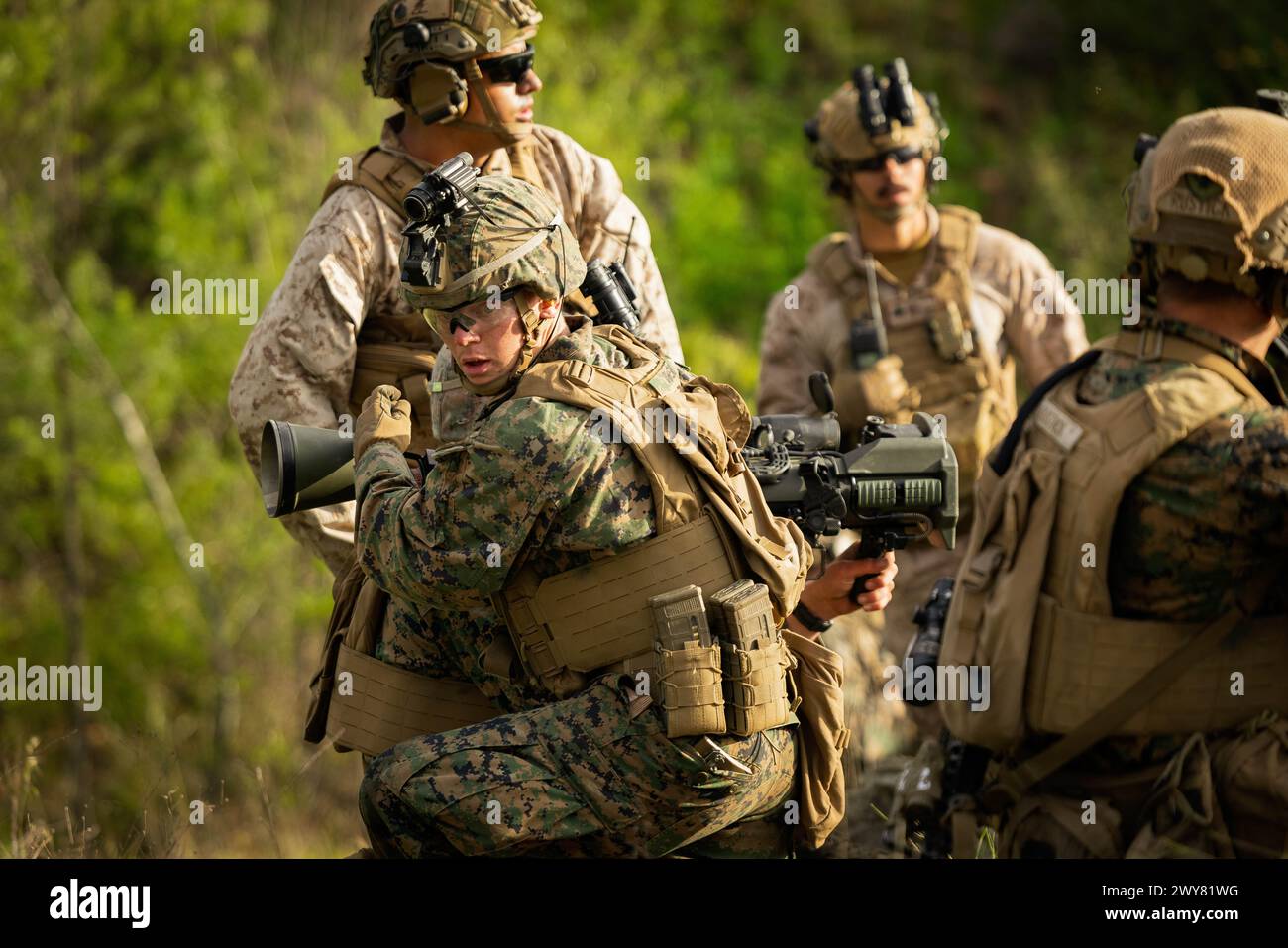 U.S. Marines with Bravo Company, 3rd Light Armored Reconnaissance ...