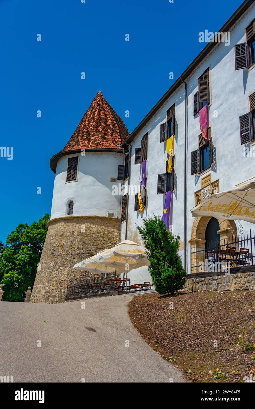 Sevnica castle hi-res stock photography and images - Alamy