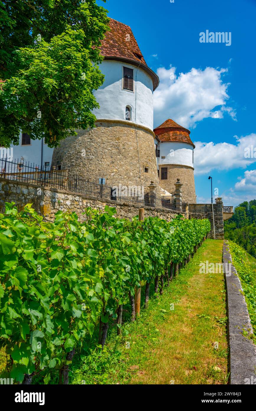 Sevnica castle hi-res stock photography and images - Alamy
