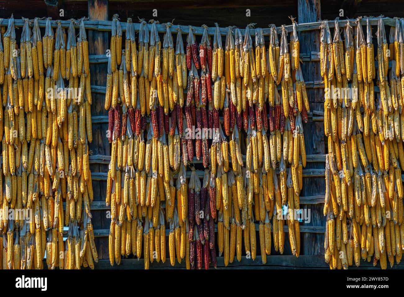 Corn stand at Rogatec Open-Air Museum in Slovenia Stock Photo - Alamy