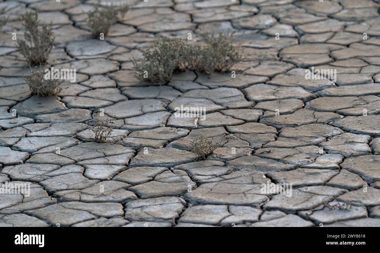 Land scarcity hi-res stock photography and images - Alamy