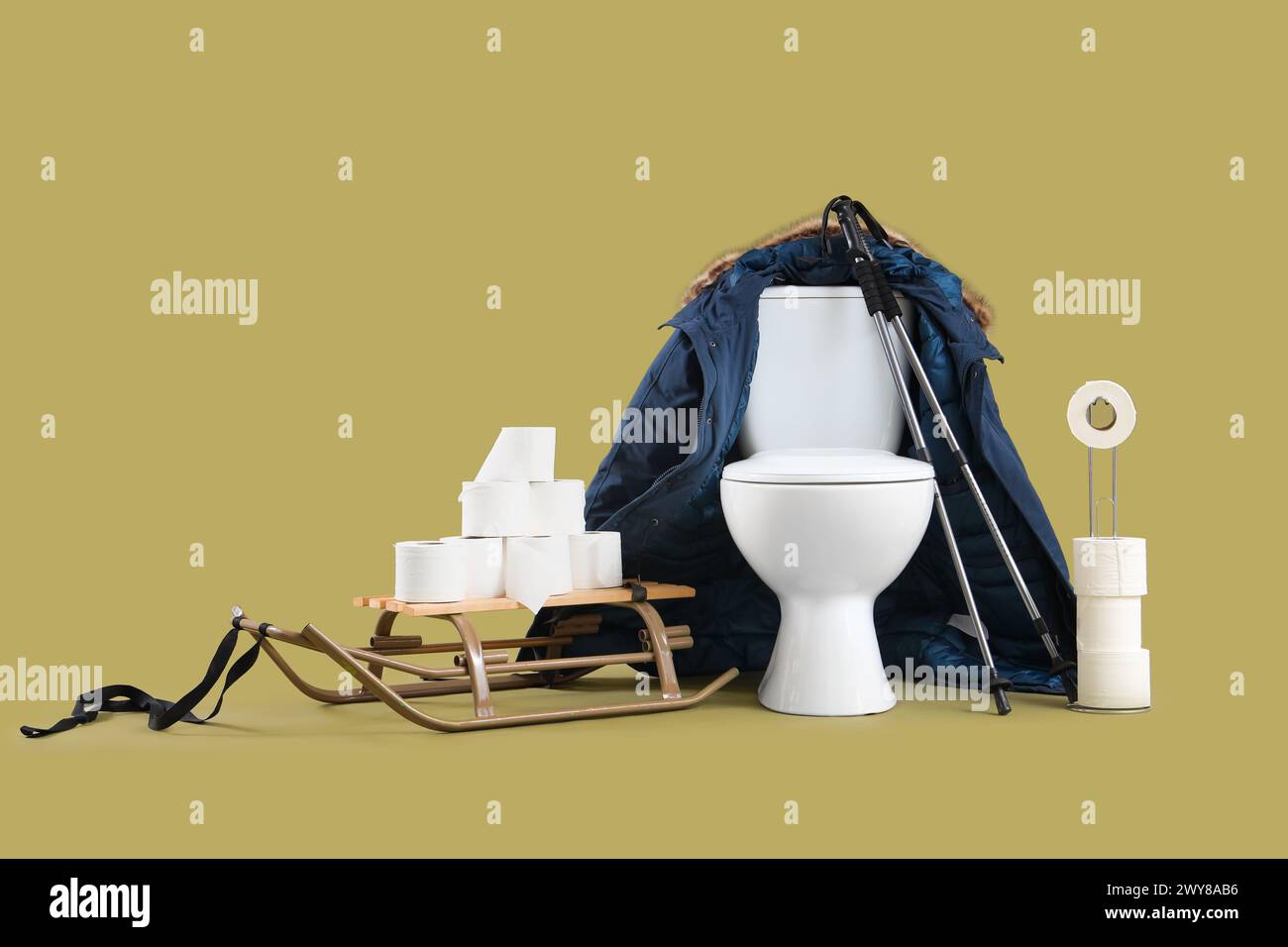Toilet bowl with jacket, walking poles, sledge and paper rolls on green ...