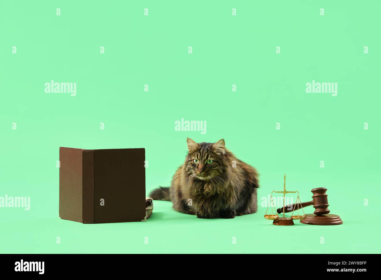 Cute cat with law book, justice scales and judge's gavel on green ...