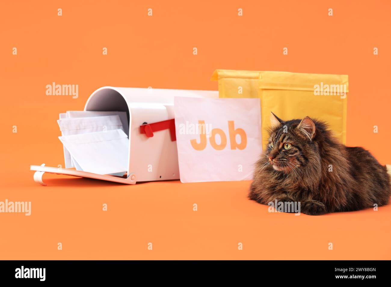 Cute cat, mailbox, letters and parcels on color background Stock Photo ...