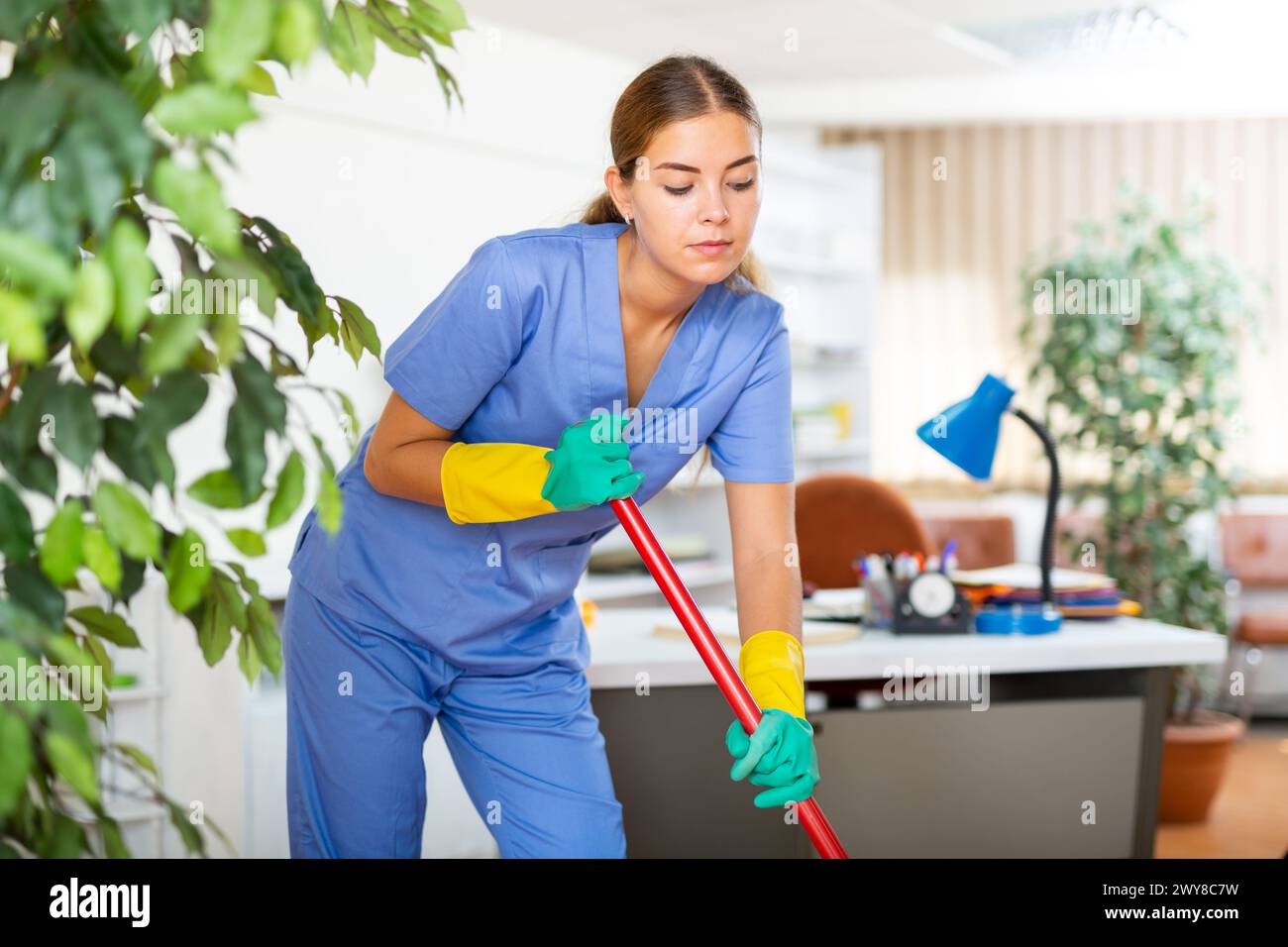 Female worker of office cleaning service wiping floors with mop Stock ...