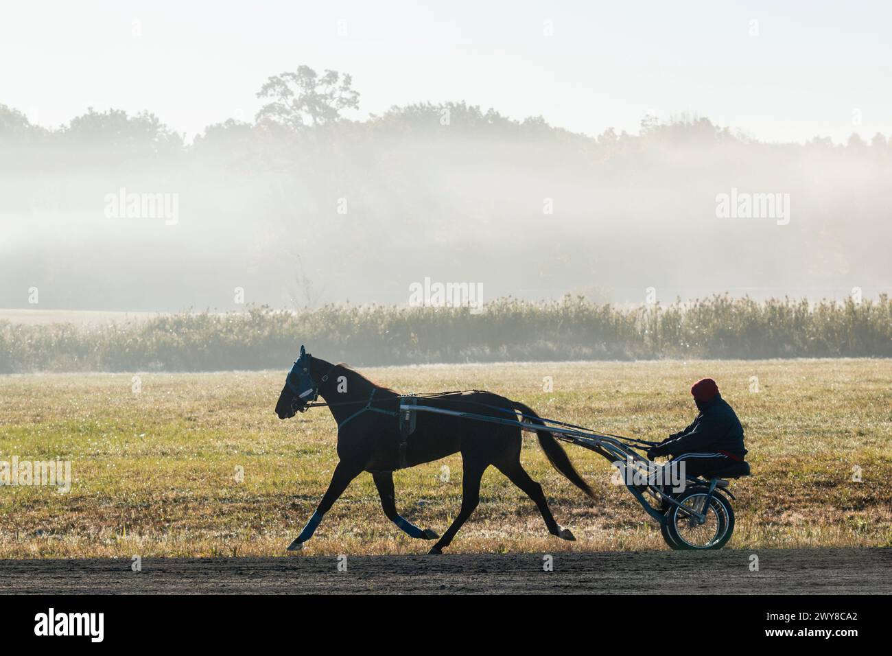 Mount Hope, New York - Harness racing horseswork out at the Mount Hope ...