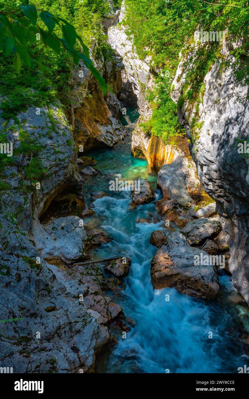 Spring of river Soca in Slovenia Stock Photo - Alamy