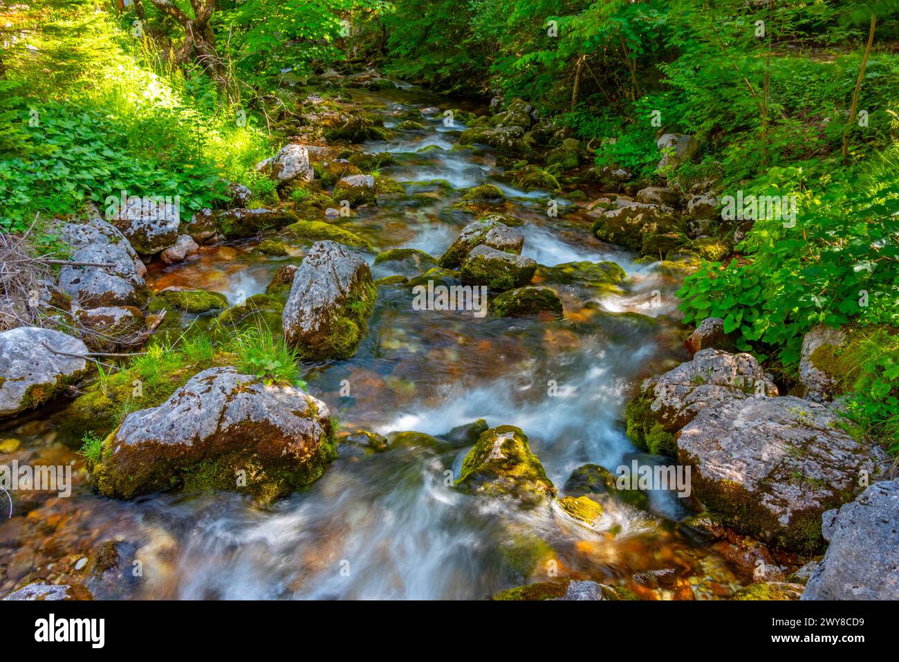 Spring of river Soca in Slovenia Stock Photo - Alamy