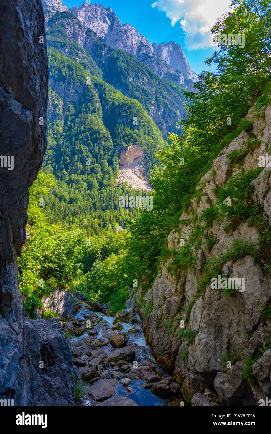 Spring of river Soca in Slovenia Stock Photo - Alamy