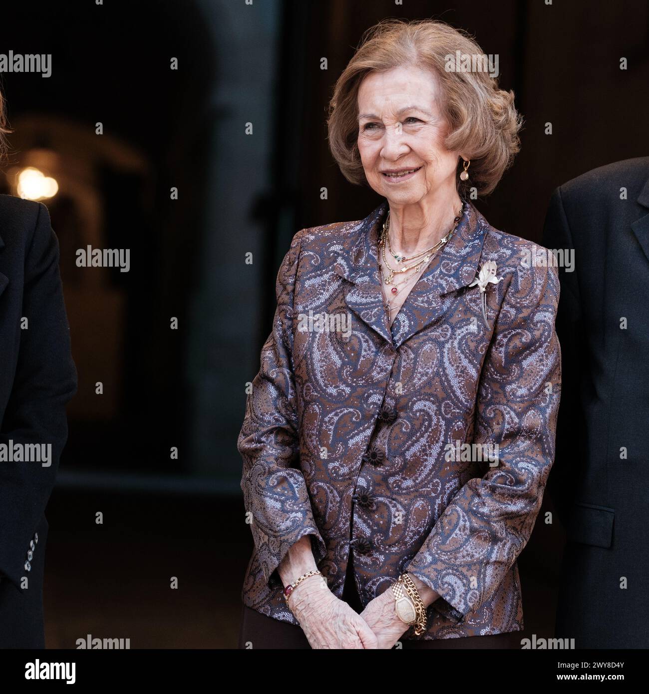 Queen Sofia Attends "Iberoamerican Patronage Awards" By Callia Foundation 2024 Featuring: Queen ...