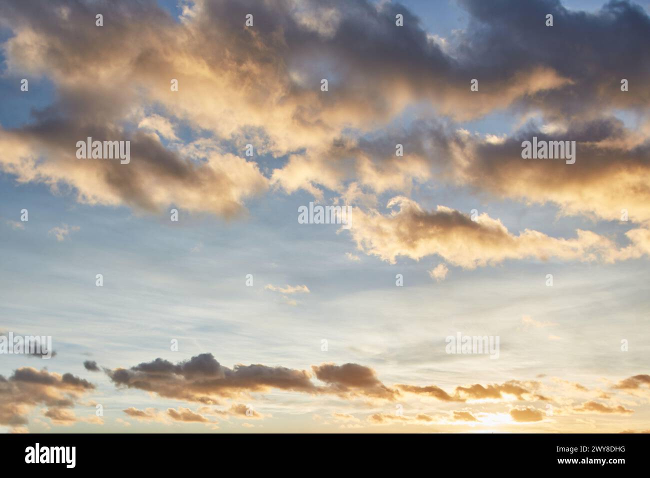 Panorama of evening sky with clouds. sunset Sky background, Sunrise sky ...