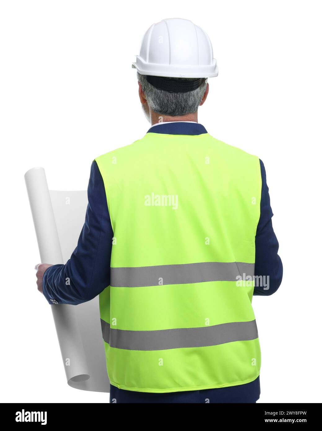 Architect in hard hat holding draft on white background, back view ...