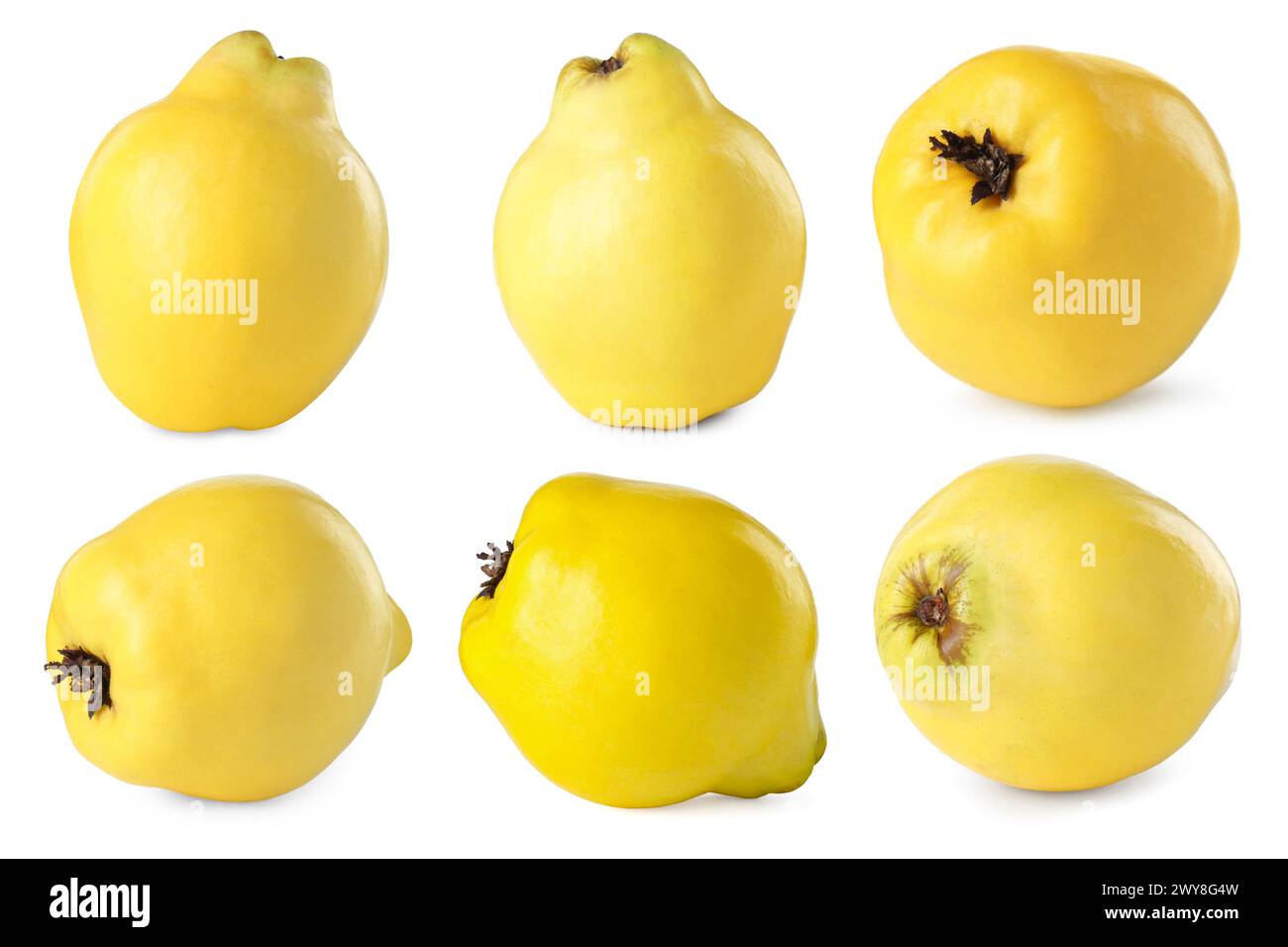 Natural ripe quince on Cut Out Stock Images & Pictures - Alamy