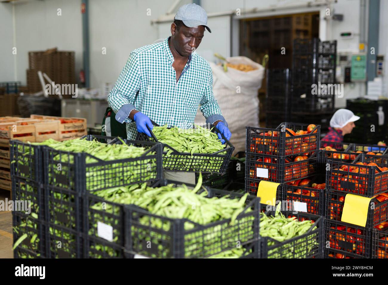 Pea factory hi-res stock photography and images - Alamy