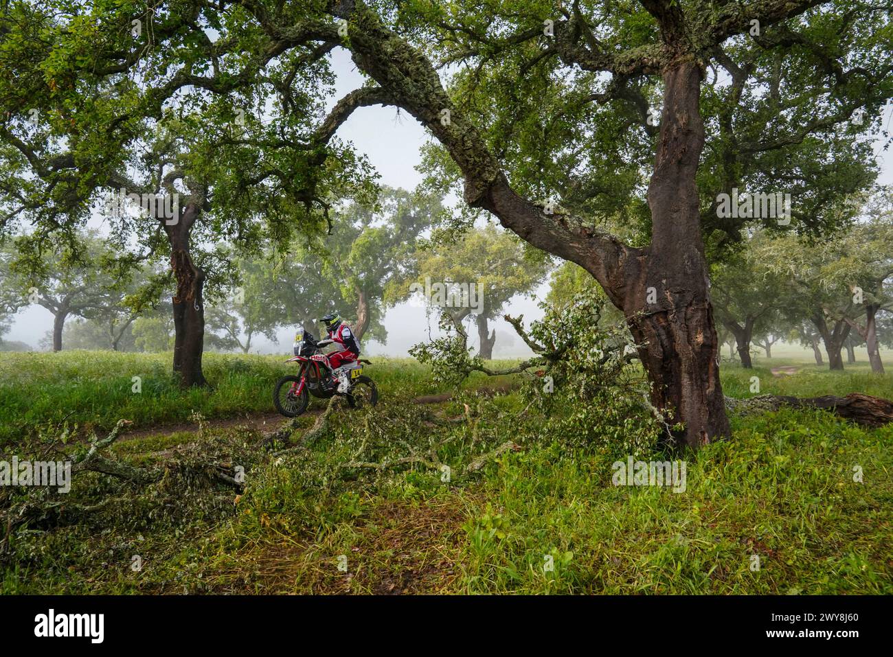 Grandola, Portugal. 04th Apr, 2024. 14 BUHLER Sebastian (ger), Hero ...