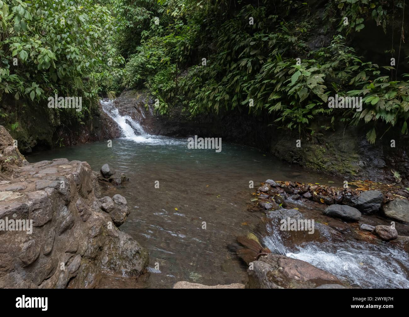 Waterfall and swim area in Rainmaker Conservation Park in Parrita Costa ...