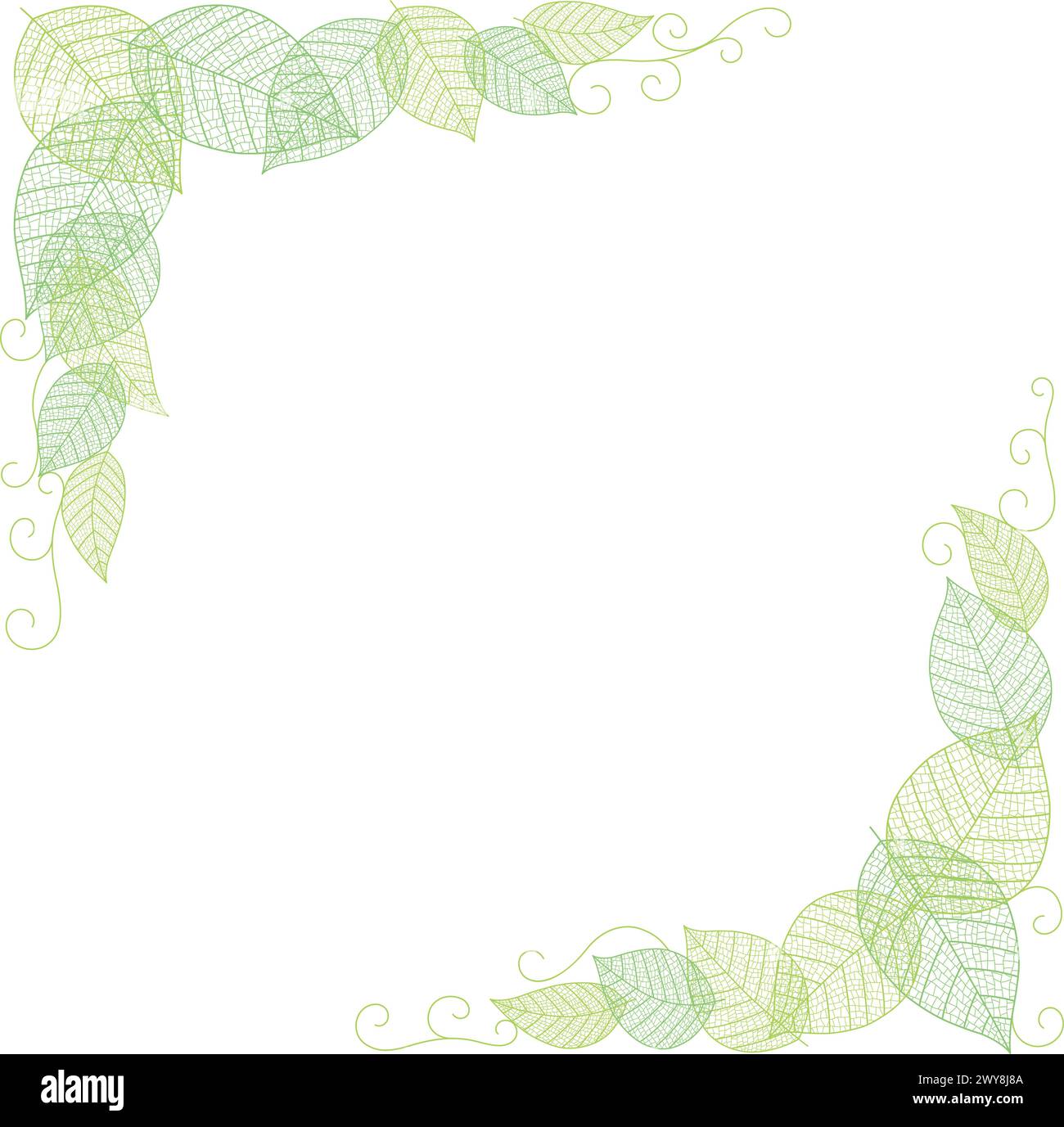 Vector Frame Illustration With Leaf Veins Silhouette Pattern Isolated ...