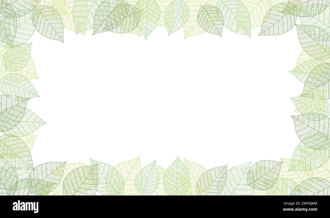 Vector Frame Illustration With Leaf Veins Silhouette Pattern Isolated ...