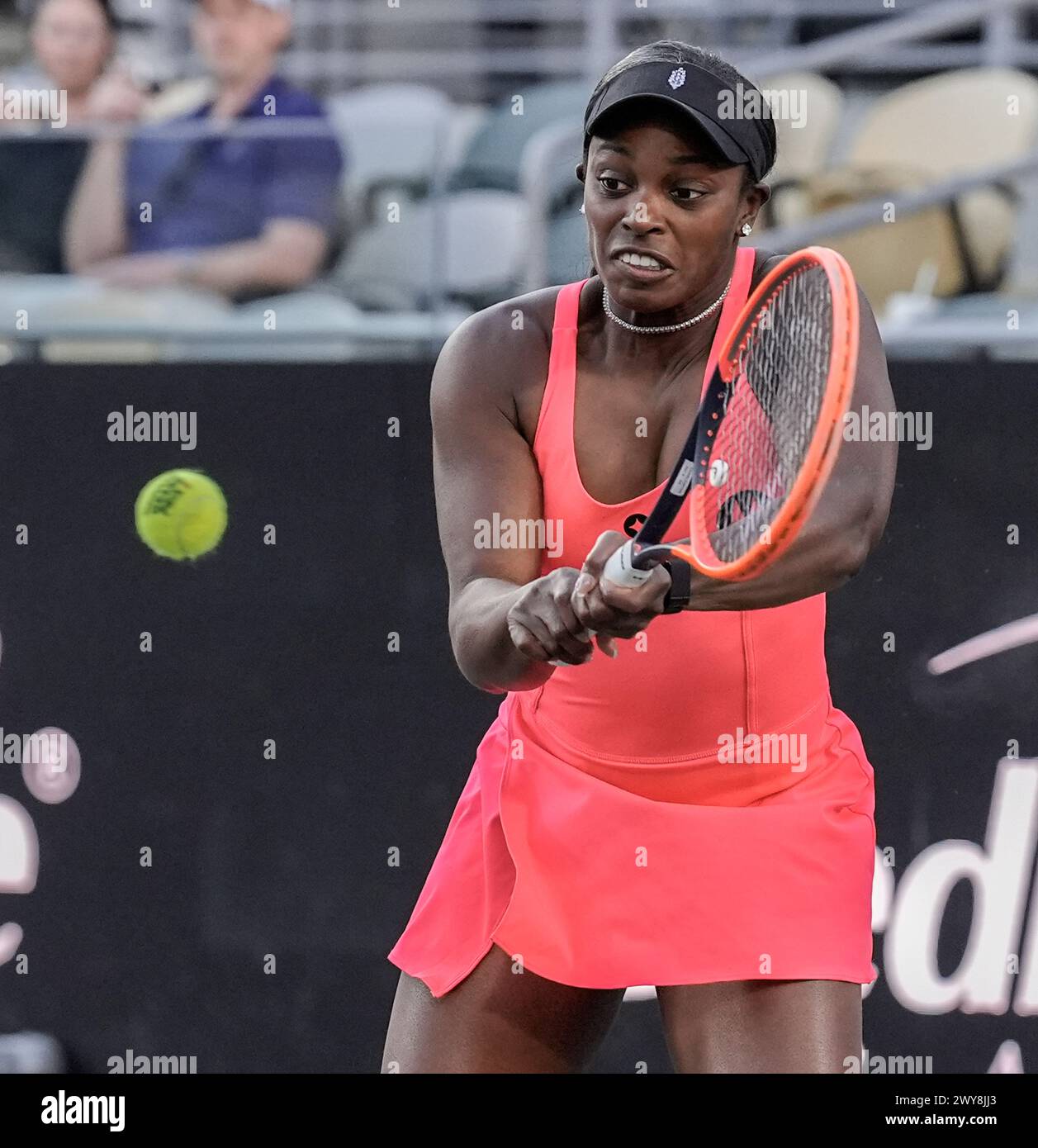 2024 0041 jpg hi-res stock photography and images - Alamy