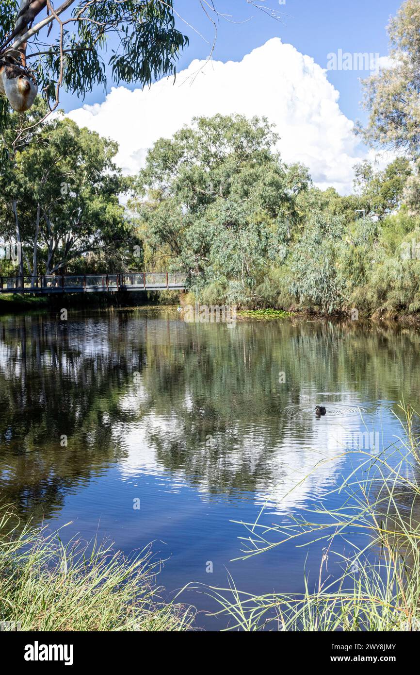Myal Creek with Jako Cavanagh Bridge, Dalby Stock Photo - Alamy