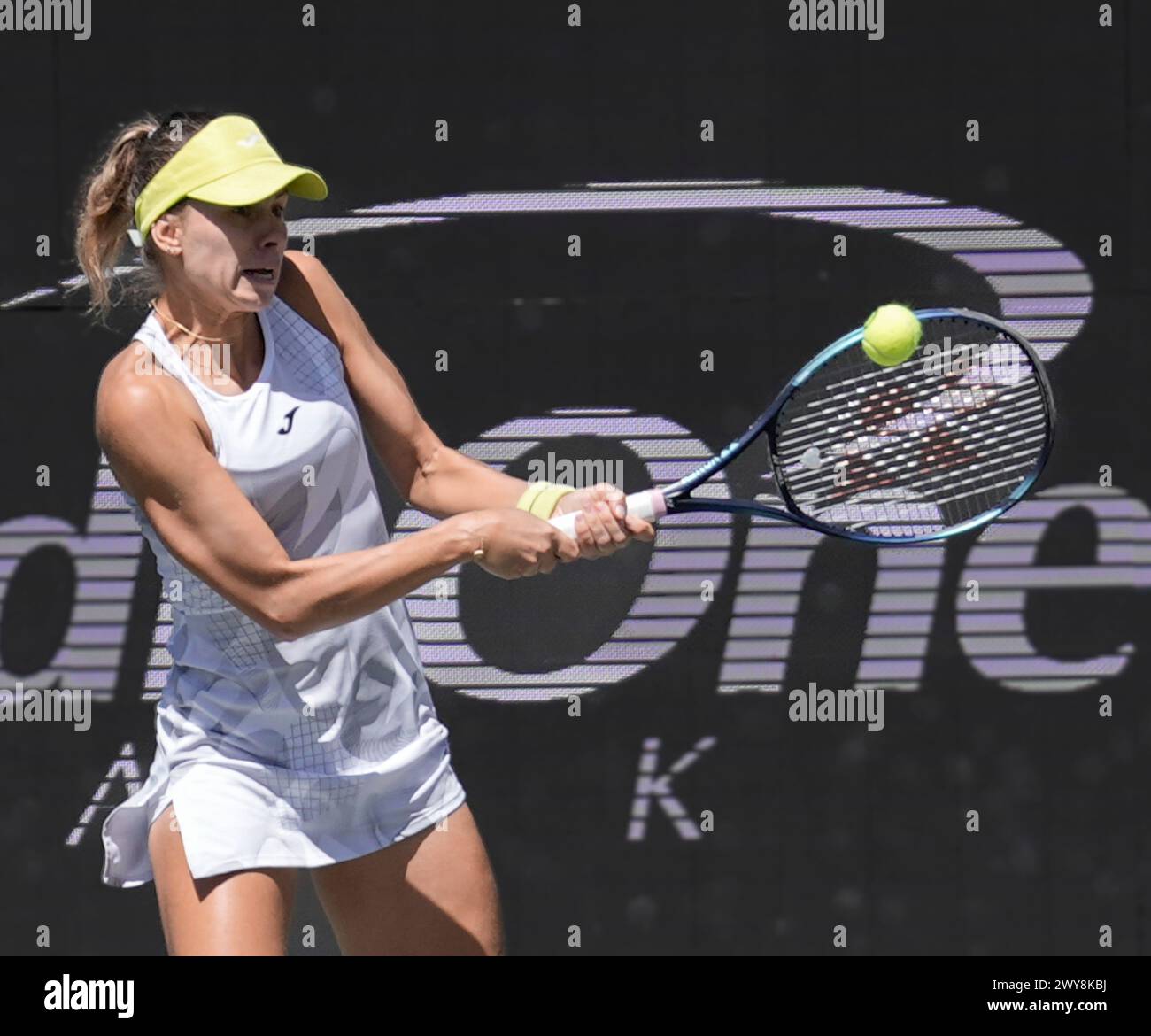 2024 0953 jpg hi-res stock photography and images - Alamy