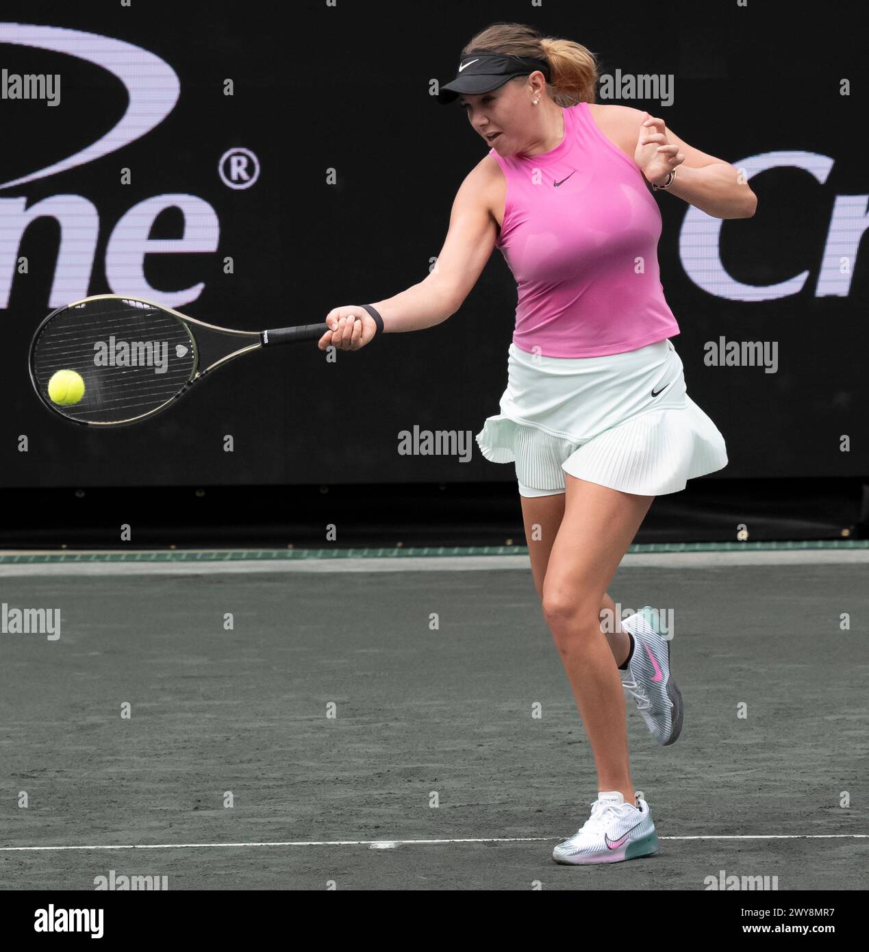 Alize cornet 2024 hi-res stock photography and images - Alamy