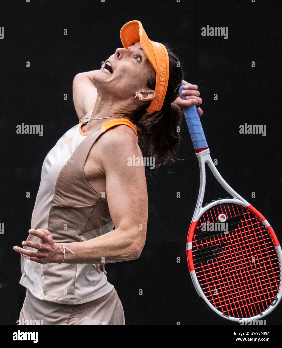 Alize cornet 2024 hi-res stock photography and images - Alamy