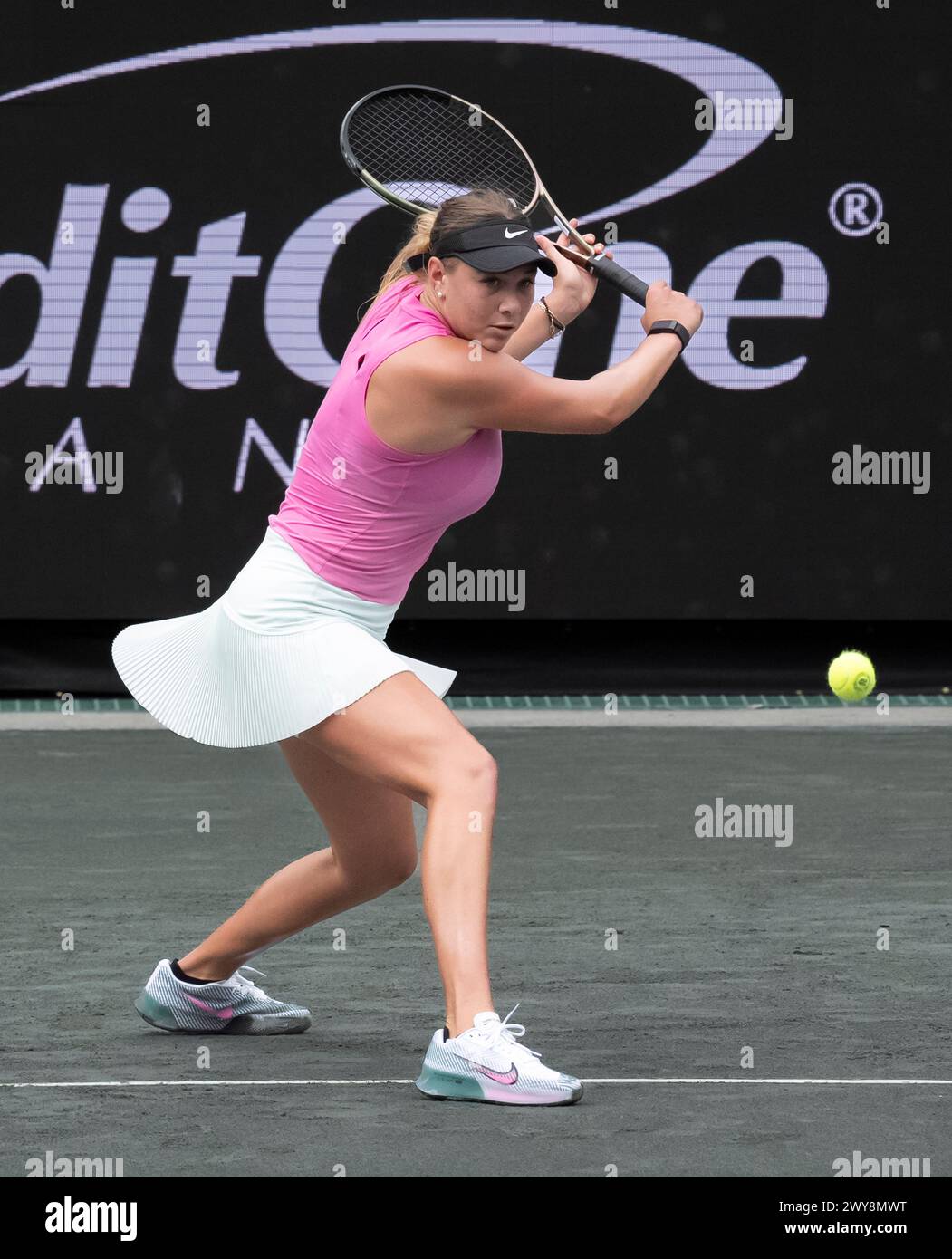 Alize cornet 2024 hi-res stock photography and images - Alamy