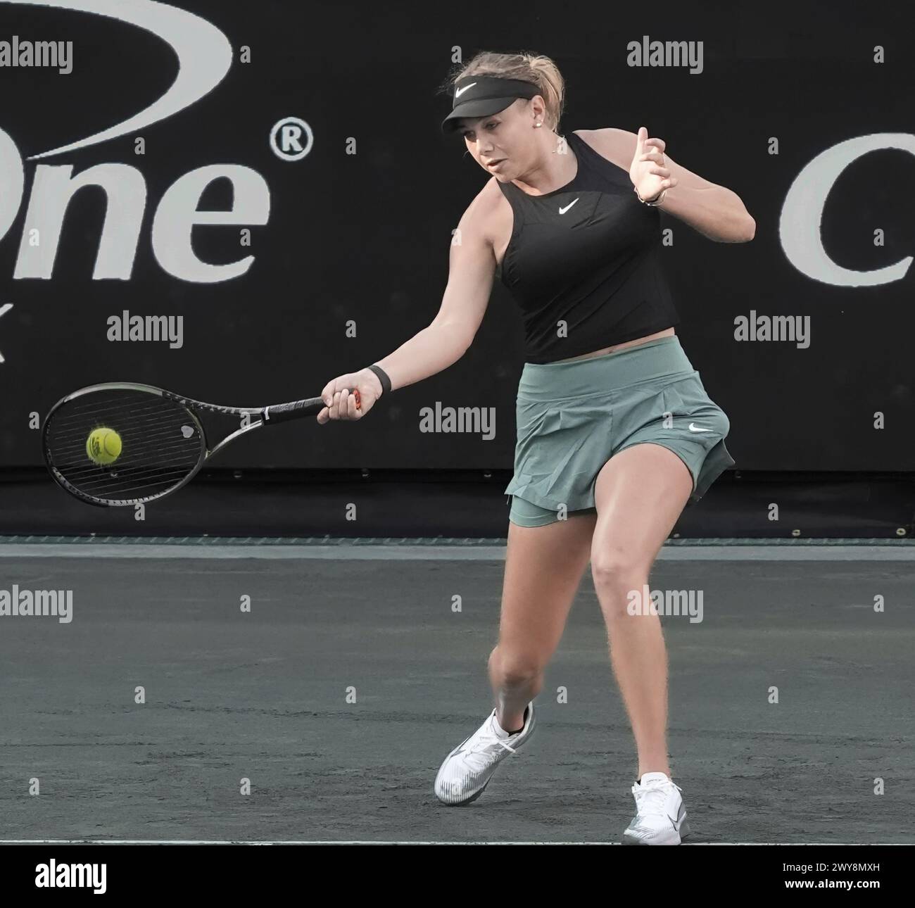 Amanda anisimova 2024 hi-res stock photography and images - Alamy