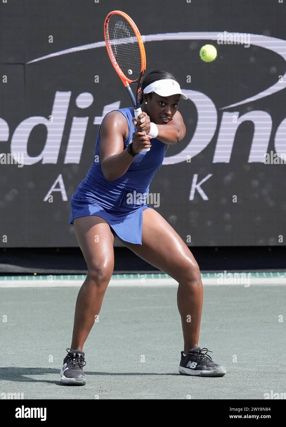 2024 0172 jpg hi-res stock photography and images - Alamy