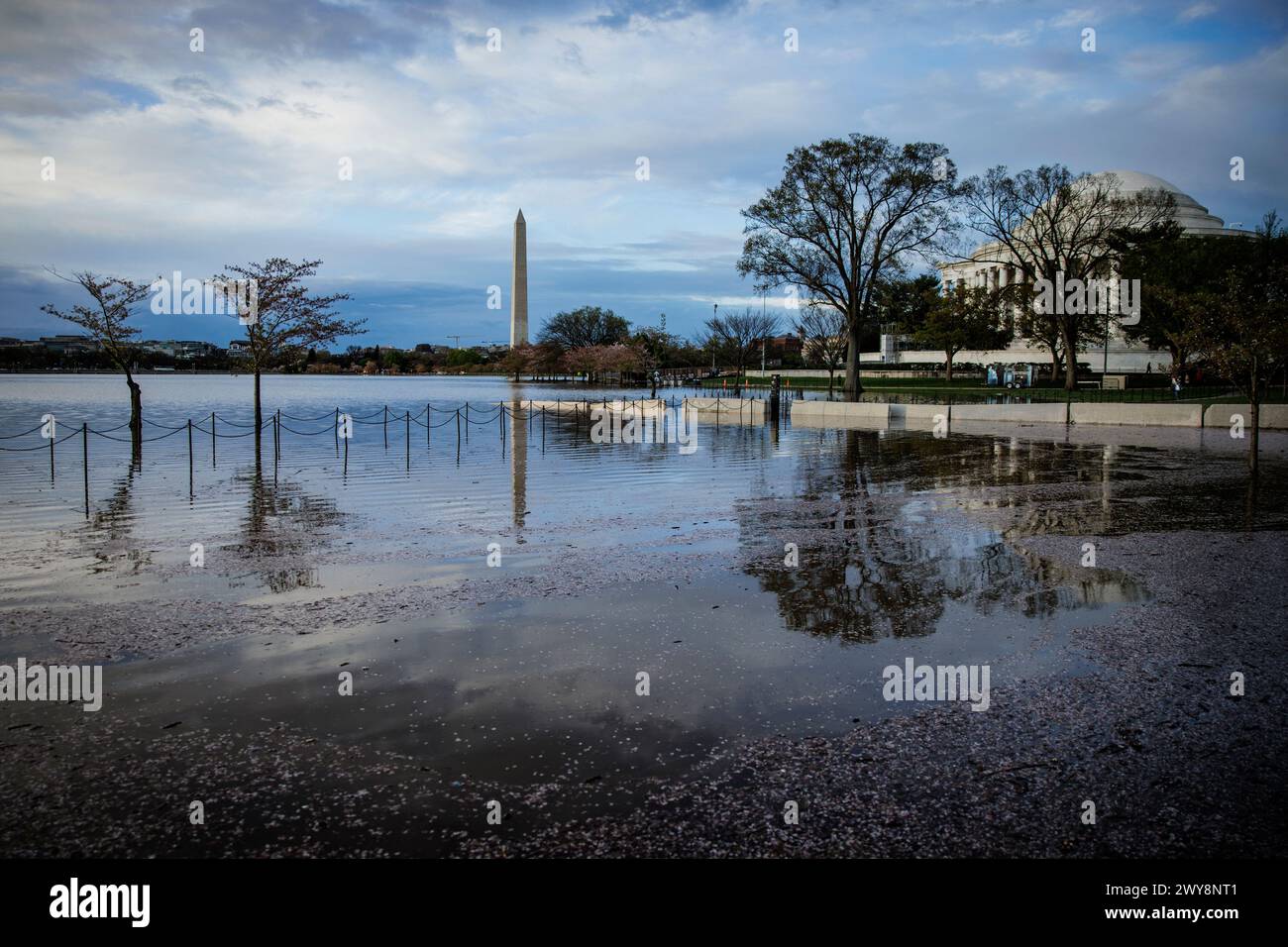 The Washington Monument and Jefferson Memorial are seen past flooded ...