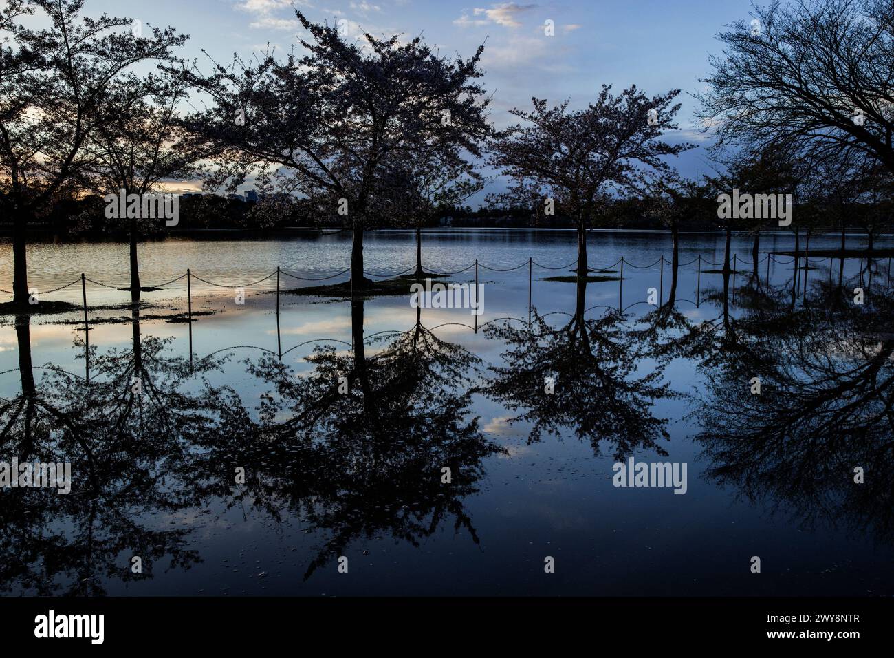 Water from the Tidal Basin flows over the protective sea walls ...
