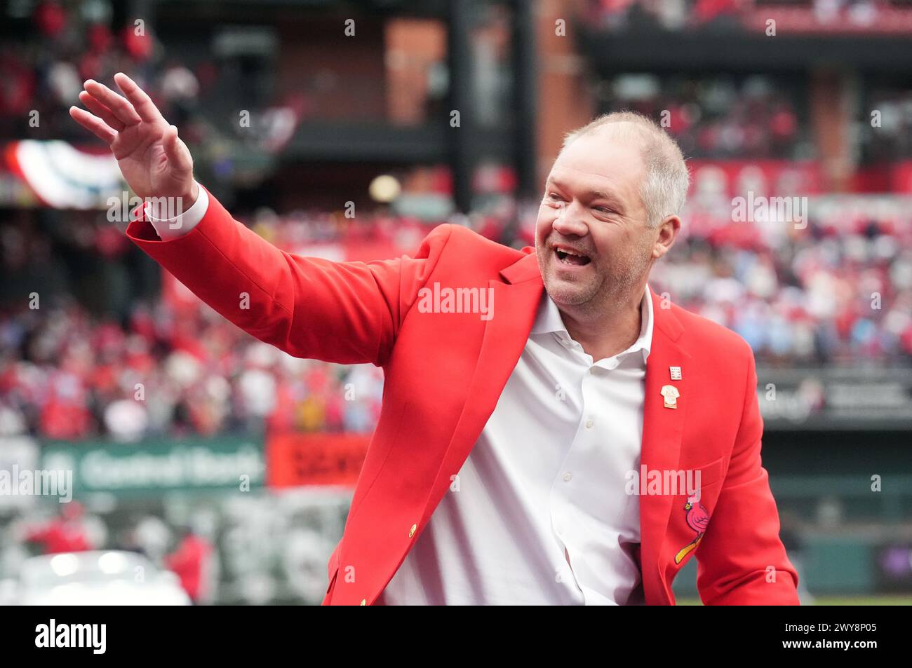 Busch rosen hi-res stock photography and images - Alamy