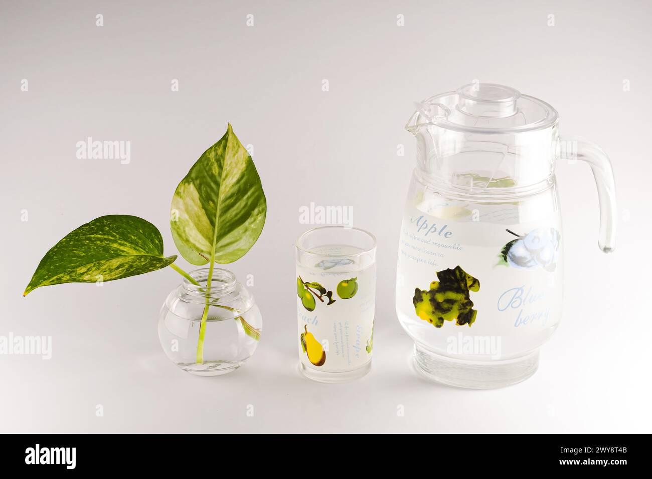 Image of Still Life with bottle of drink water, leaves in white background Stock Photo - Alamy