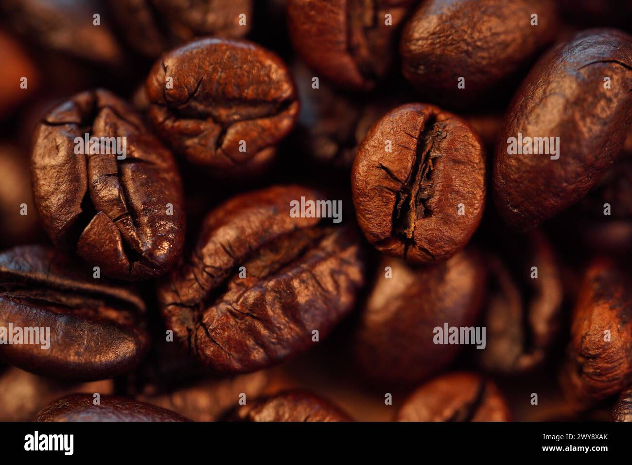 Roasted coffee beans (needle roast), Cafe and coffee shop concept Stock ...