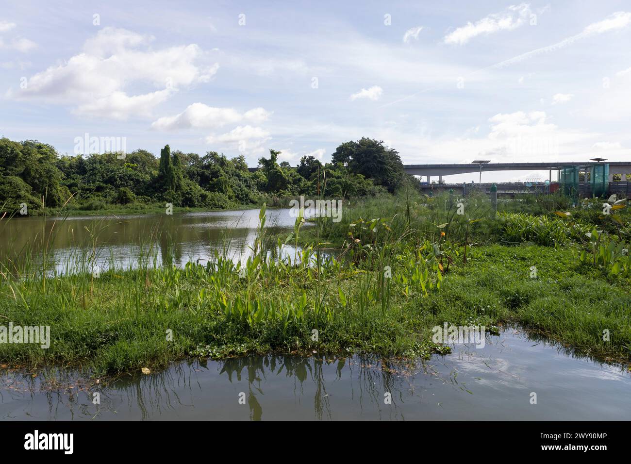 Singapore sengkang hi-res stock photography and images - Alamy
