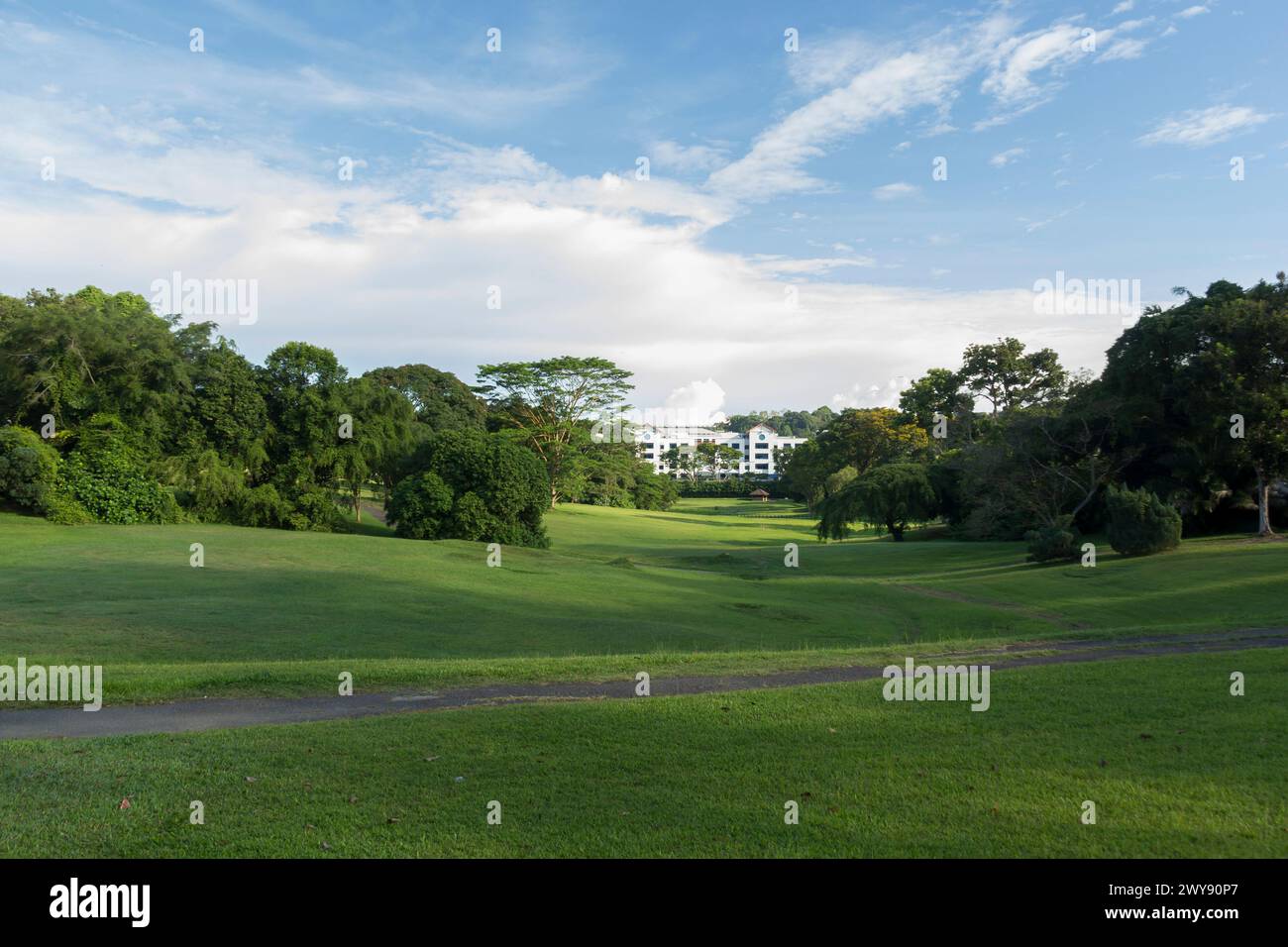 Green Fields in Singapore Stock Photo - Alamy