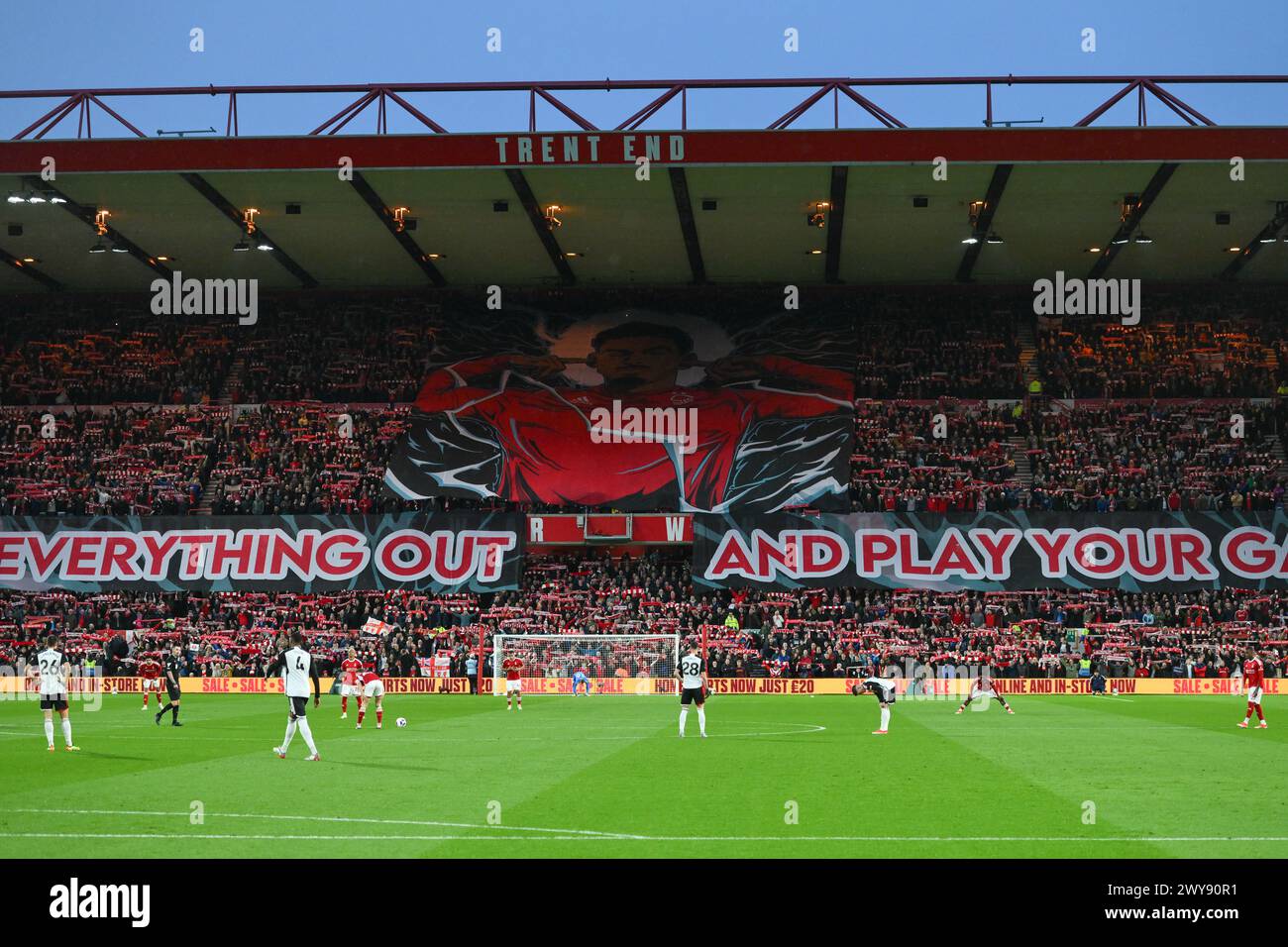 Gibbs white forest hi-res stock photography and images - Alamy