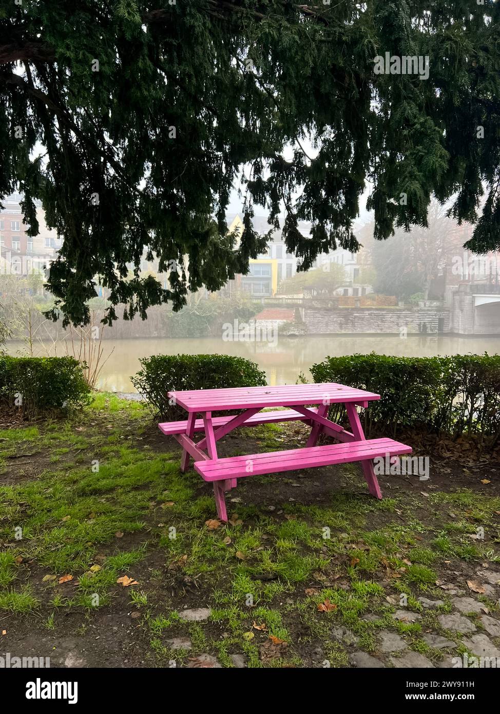 A pink picnic table is sitting under a tree in a park Stock Photo - Alamy