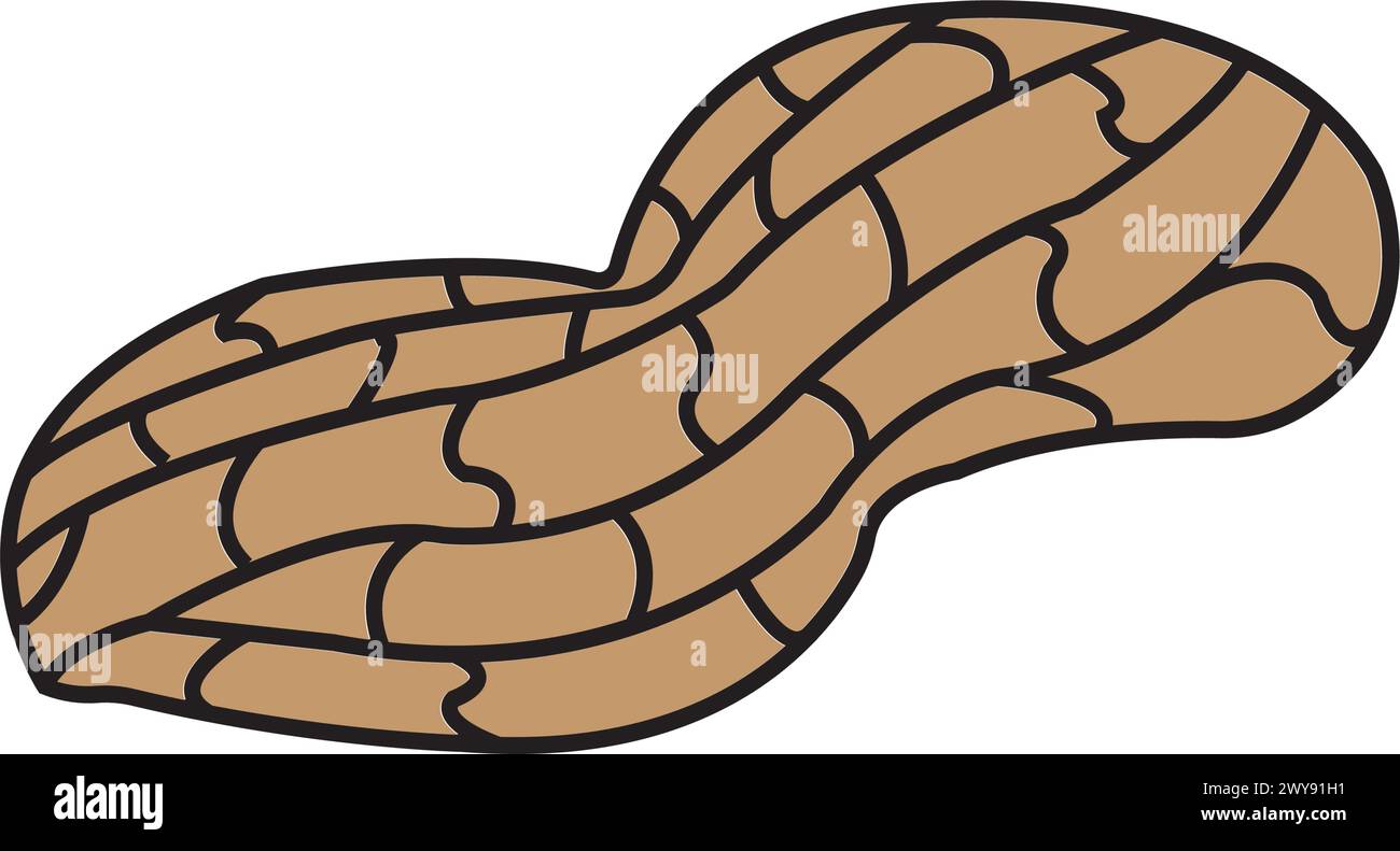 Peanut icon vector illustration symbol design Stock Vector Image & Art ...