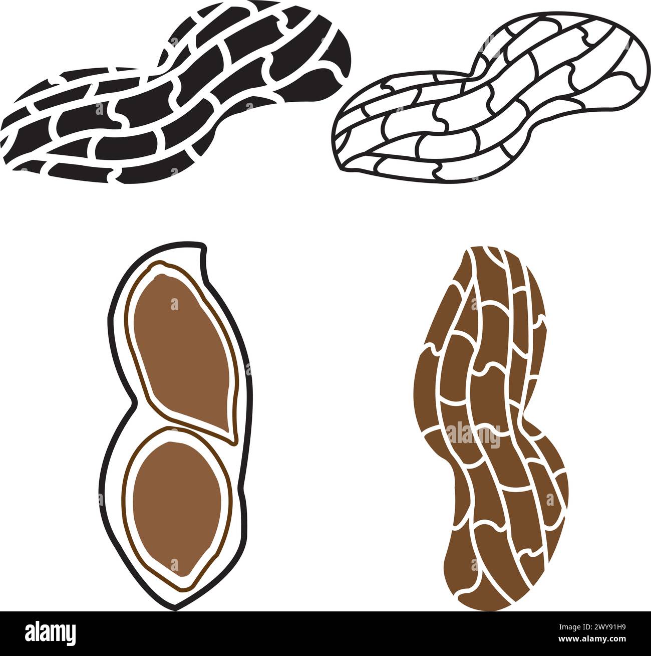 Peanut icon vector illustration symbol design Stock Vector Image & Art ...