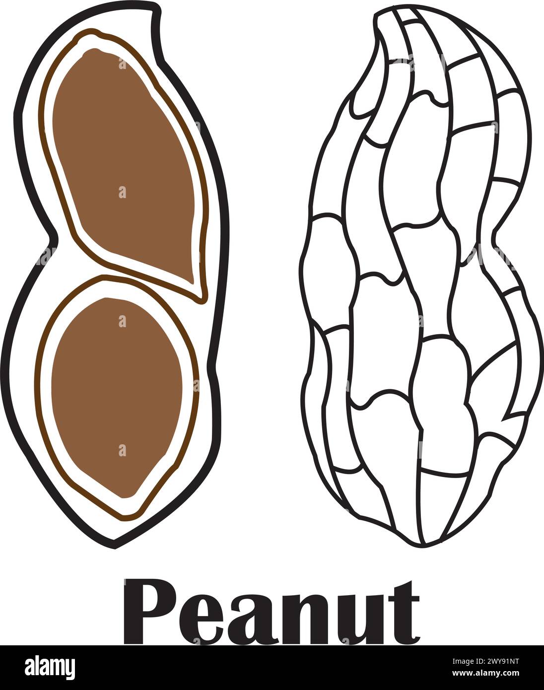 Peanut icon vector illustration symbol design Stock Vector Image & Art ...