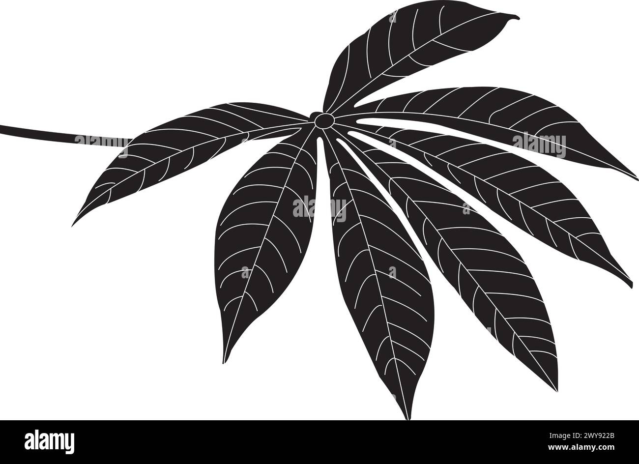 Cassava leaf icon vector symbol design Stock Vector Image & Art - Alamy