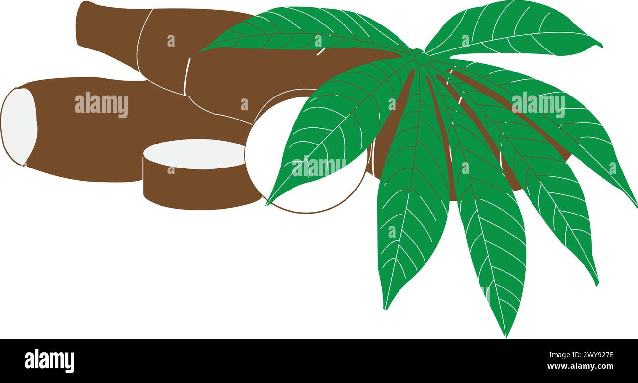 Cassava tree leaf Stock Vector Images - Alamy