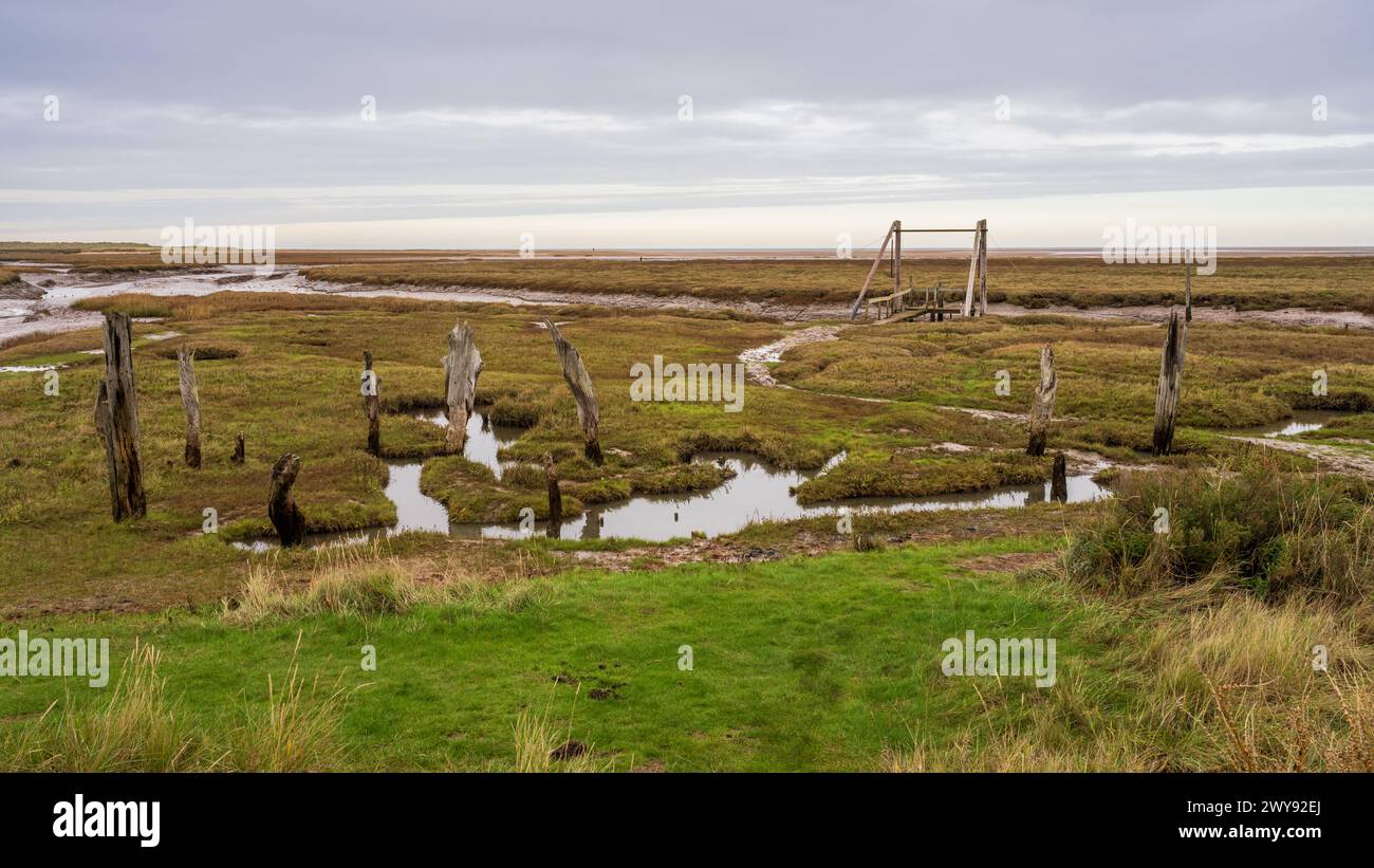 Marshland near Thornham Old Harbour, Norfolk, England, UK Stock Photo ...