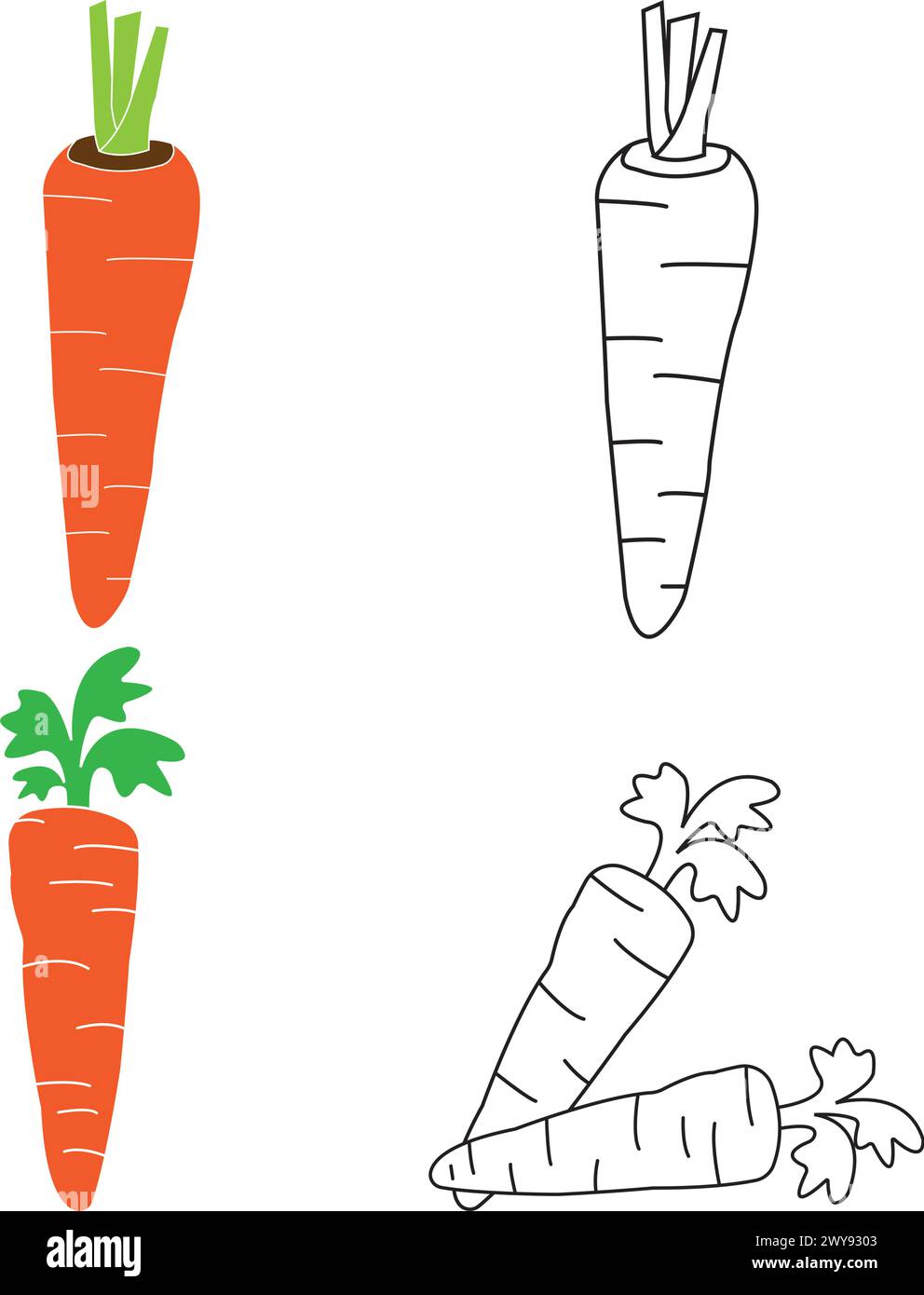 Carrot drawing hi-res stock photography and images - Alamy