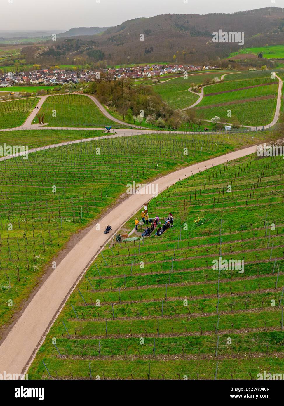 Biblical wine path hi-res stock photography and images - Alamy