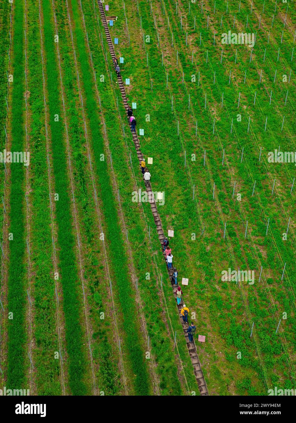 People walking on a narrow path next to railway tracks through green ...