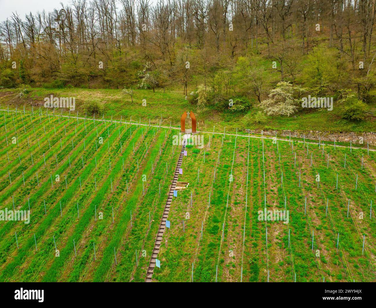 Visitors view art objects in a living green vineyard, Jesus Grace ...