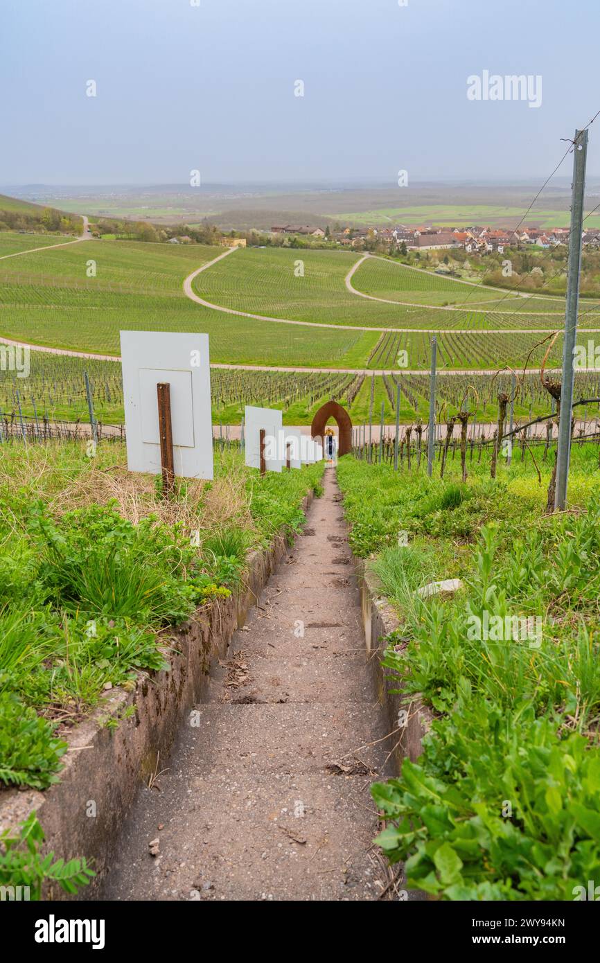 A path leads through vineyards with outdoor artworks and a view of a ...